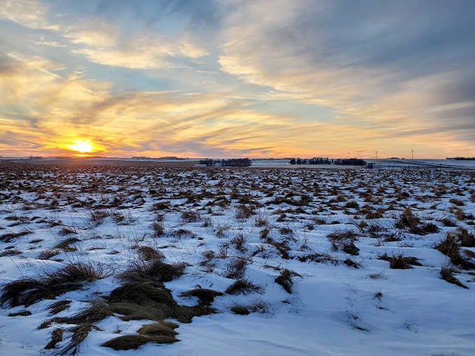 Winter's golden hour: The setting sun transforms snow-dusted prairie into a canvas of amber and blue, revealing the landscape's quiet winter beauty.