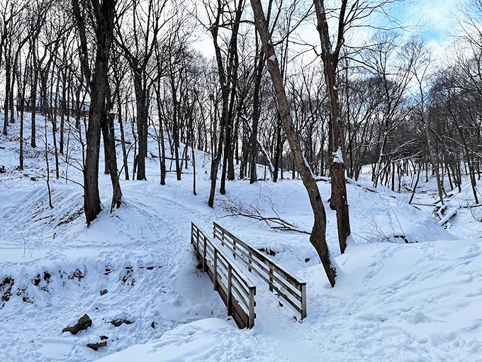 Winter transforms Riley Creek Trail into a serene wonderland, where snow-covered bridges stand as silent gateways between frozen moments.