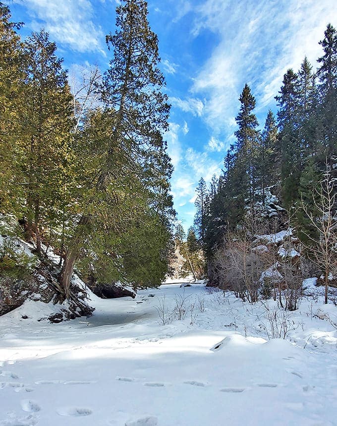 Winter transforms the landscape into a hushed wonderland of white. The frozen river sleeps beneath its snowy blanket, dreaming of spring's awakening.