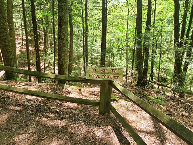 Rustic boundary: "Do not tie horse to fence" &ndash; a charming reminder that some visitors arrive on four legs rather than two.