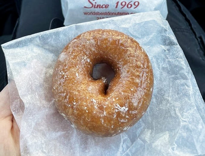 This sugar-dusted beauty demonstrates that sometimes simplicity is the ultimate sophistication, especially when it comes to raised donuts.