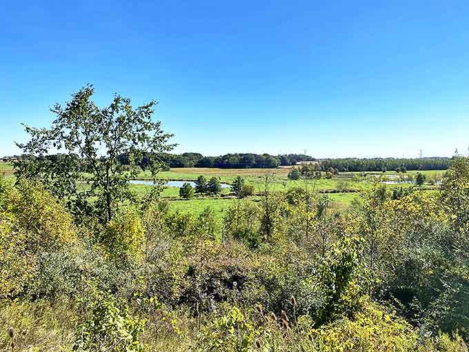 Rolling hills and wetlands create a patchwork landscape at the nature preserve, where hiking trails offer peaceful escapes just minutes from town.