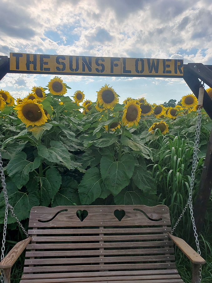This charming swing invites visitors to literally hang out among the blooms &ndash; Instagram influencers, form an orderly queue, please!