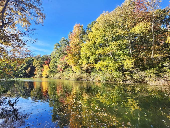 Autumn transforms Silver Lake's surroundings into a painter's palette, with vibrant foliage creating mirror images on the lake's glass-like surface.