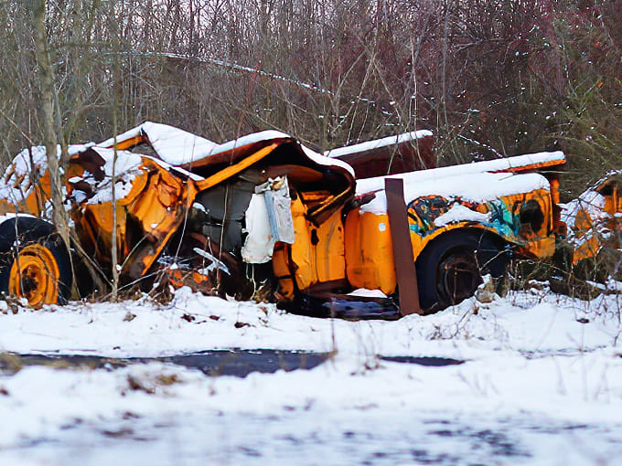 That school bus yellow wasn't meant to blend with forest green, yet this abandoned maintenance vehicle creates an oddly beautiful contrast.