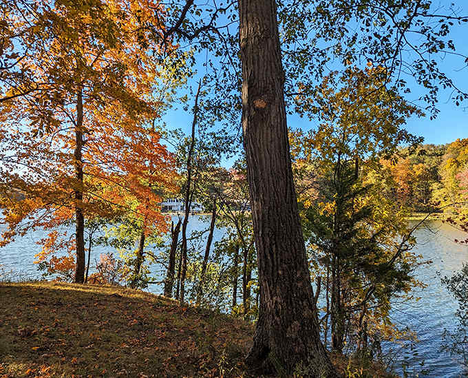 Nature's fireworks display doesn't require tickets – just timing your visit when autumn paints the forest in impossible colors.