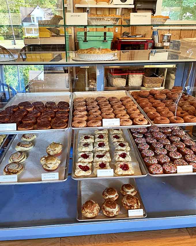 Display cases that should charge admission – rows of donuts, pastries, and cookies arranged like edible art in this carbohydrate museum.