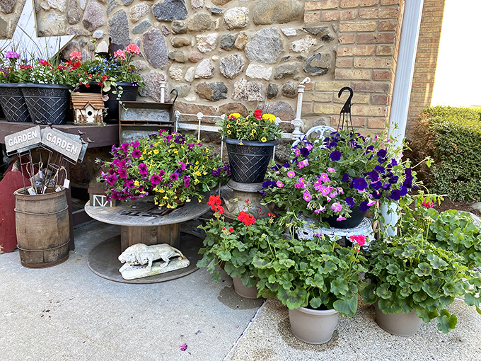 Garden dreams bloom year-round with this charming outdoor vignette, where colorful flowers and rustic tools create an instant cottage garden feel.