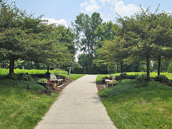 Sunlight filters through a cathedral of leaves along this tranquil woodland trail, where nature provides the perfect antidote to digital overload.