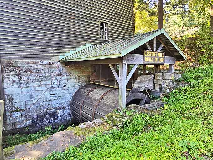 Gaston's Mill, built in 1837, showcases pioneer ingenuity with its massive water wheel still capable of harnessing the creek's power for grinding grain.