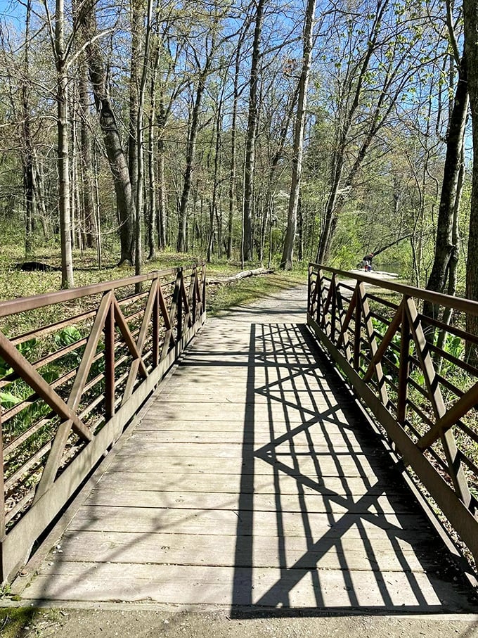 Dappled sunlight creates a natural spotlight on this forest path, as if the trees are saying, "This way to the good stuff!"