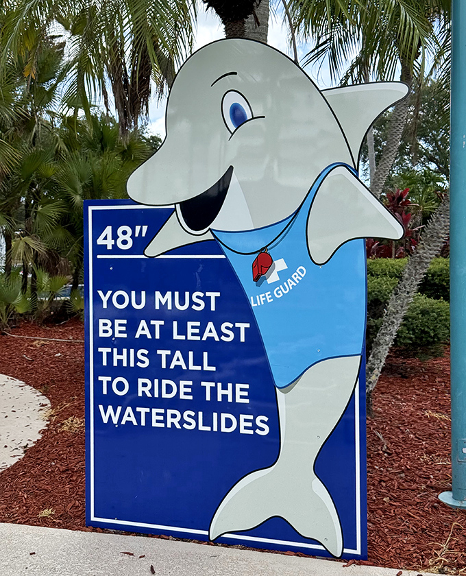 The friendly dolphin height marker has crushed dreams and granted wishes at exactly 48 inches&mdash;the magical threshold for slide privileges.