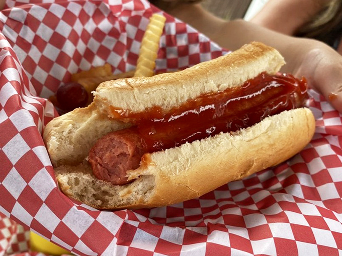 This hot dog achieves what many strive for but few accomplish: being perfectly ordinary in the most extraordinarily satisfying way possible, ketchup and all.