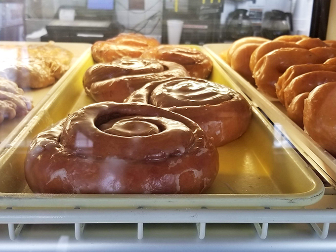 This cinnamon swirl creation isn't just a donut—it's practically a topographical map of deliciousness.