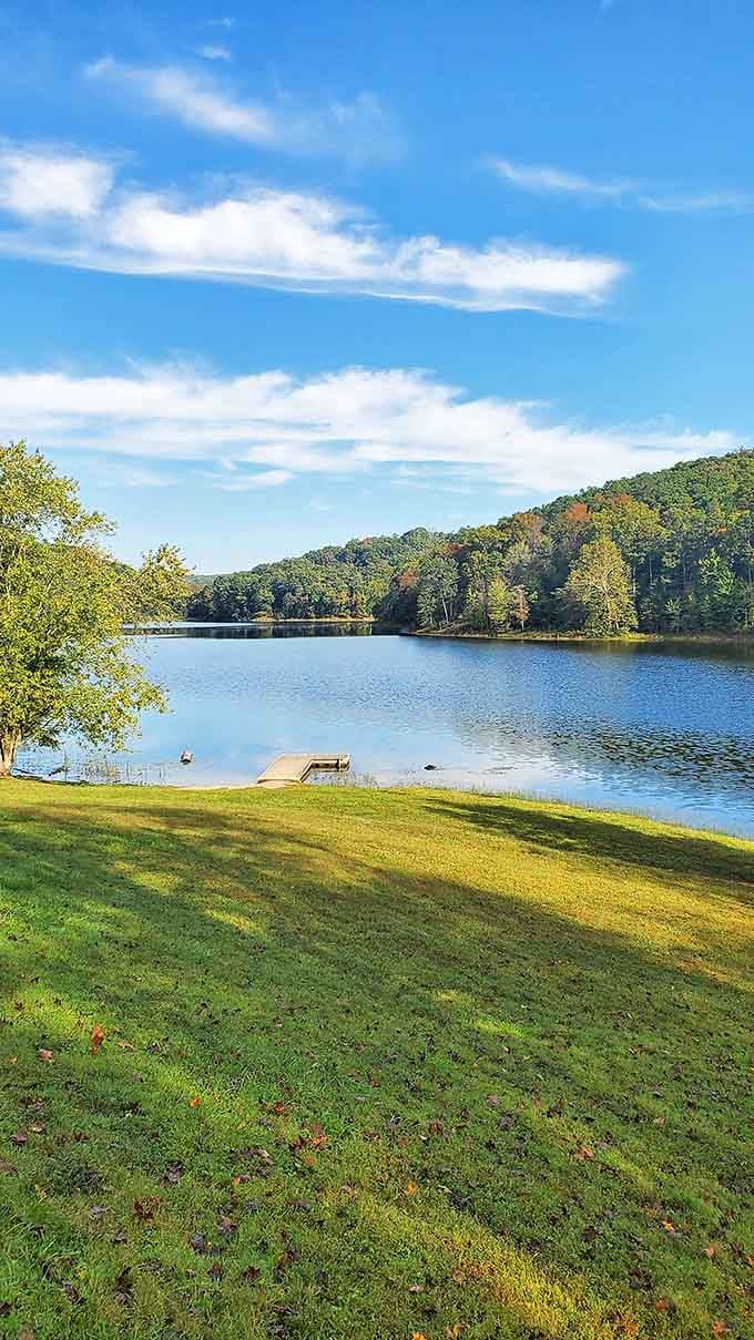 Mirror, mirror on the lake &ndash; Lake Hope's glassy surface perfectly reflects the surrounding forest, doubling nature's already impressive display.
