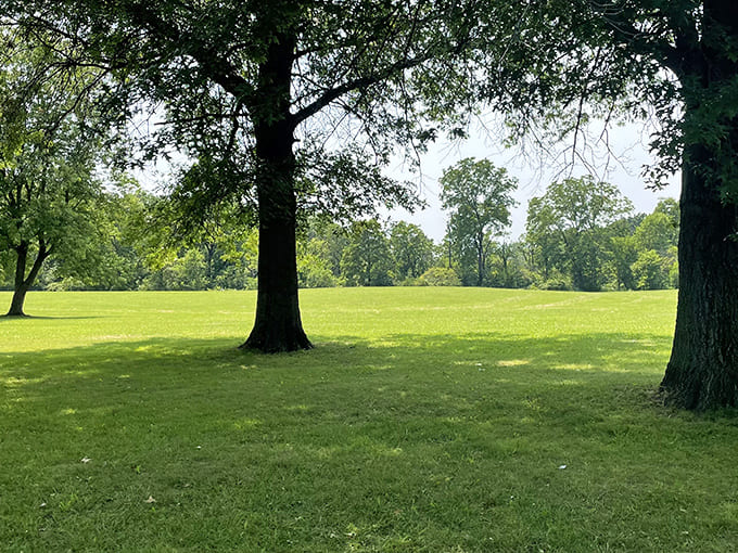Lush greenery surrounds the course, creating a canopy so thick you might forget you're still technically in the suburbs and not the Amazon.