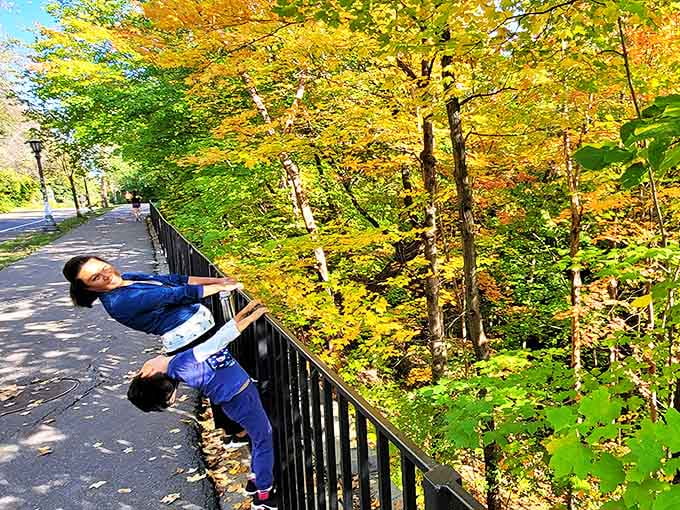 The park's paved pathways offer accessible views of autumn's spectacular show, where maples and oaks compete for who can wear the brightest colors.