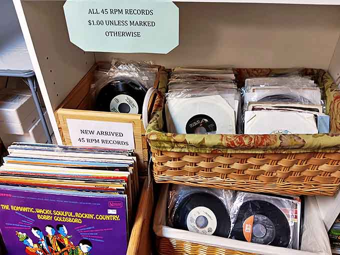 Vinyl treasures await the discerning collector &ndash; each record a time machine to when music wasn't streamed but savored, one side at a time.