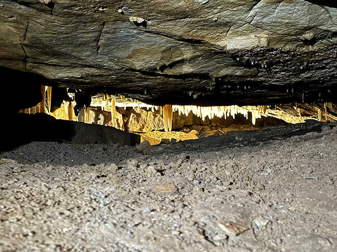 Stalagmites rise from the cave floor like determined stone sentinels, each one growing upward at just a quarter-inch per century.