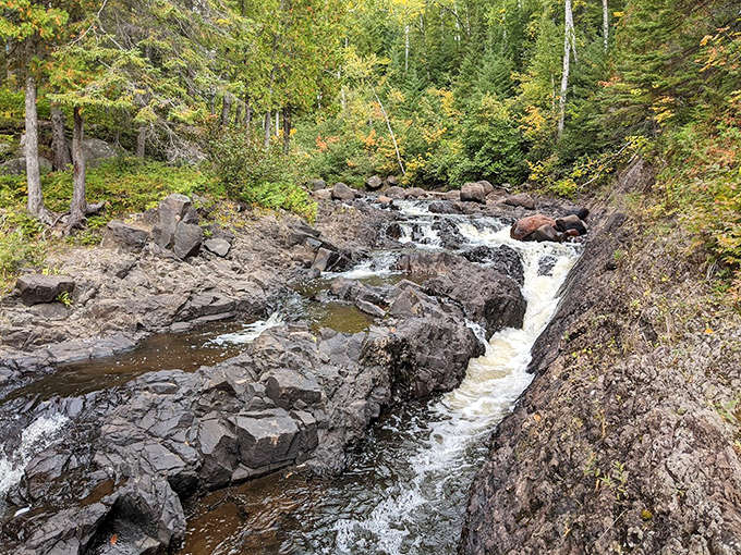 Water finds its path of least resistance, creating these mini-cascades that provide nature's own soundtrack – better than any meditation app you've downloaded.