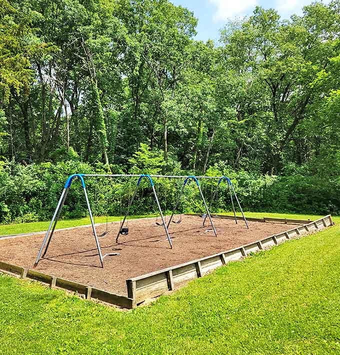 Empty swings waiting patiently for children's laughter, framed by a verdant backdrop that makes playground equipment look positively artisanal.