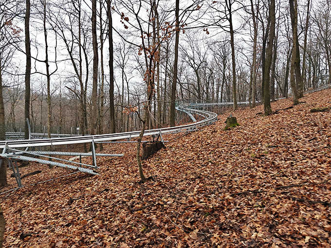 Autumn transforms the coaster experience into a kaleidoscope of colors, with the track cutting through a sea of fallen leaves.