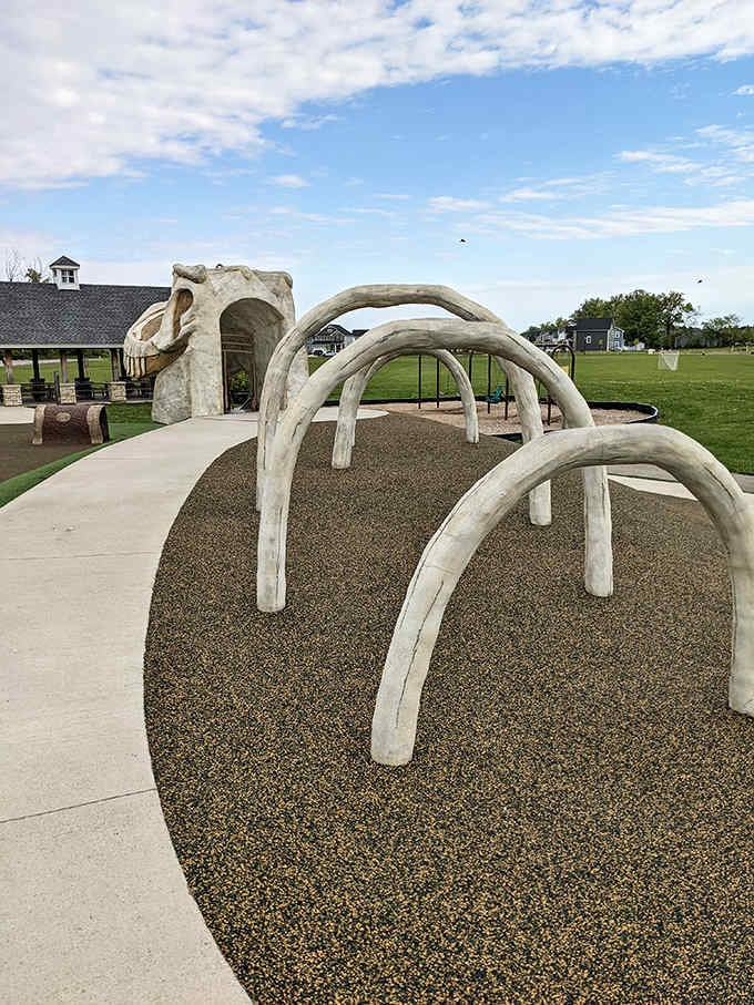 Crawl through prehistoric remains! These bone-shaped tunnels transform an ordinary walkway into an archaeological adventure for curious kids.