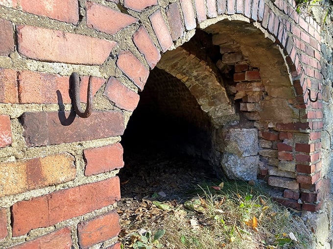 Peek into the past: Each brick archway offers a glimpse into the fiery industrial history that once defined this peaceful woodland.
