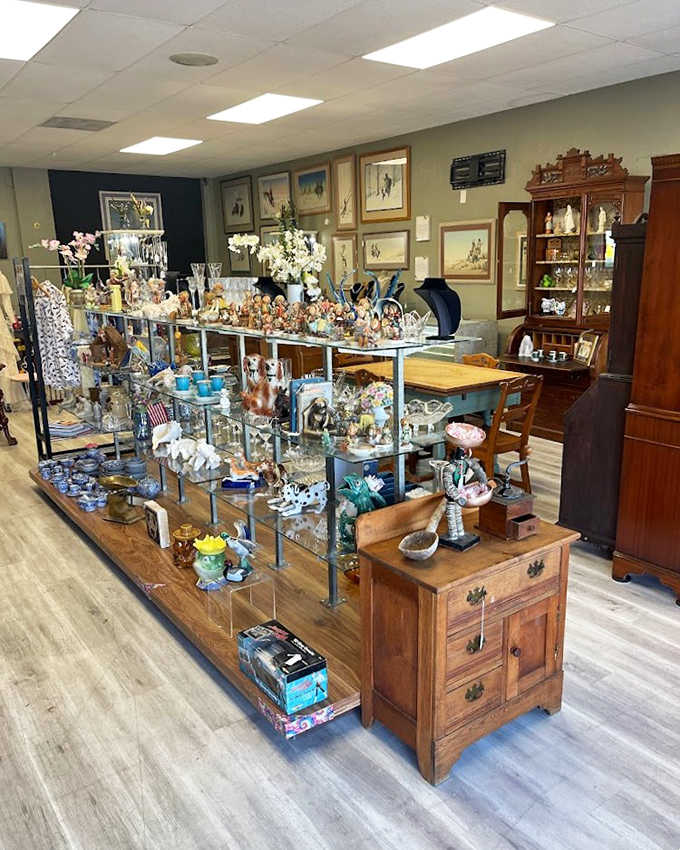 Shelves packed with vintage treasures create a visual feast that would make even Marie Kondo admit these things definitely spark joy for someone.