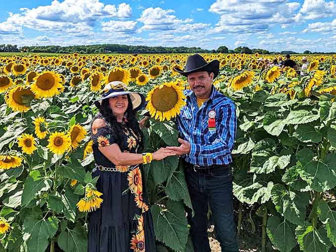 Visitors find themselves dwarfed by towering sunflower stalks, creating the perfect setting for memorable family photos and genuine smiles.