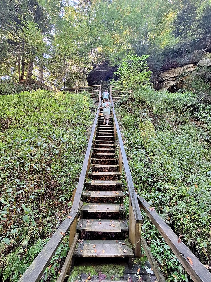 These wooden steps aren't just a path; they're nature's stairway to heaven, minus the Led Zeppelin soundtrack.