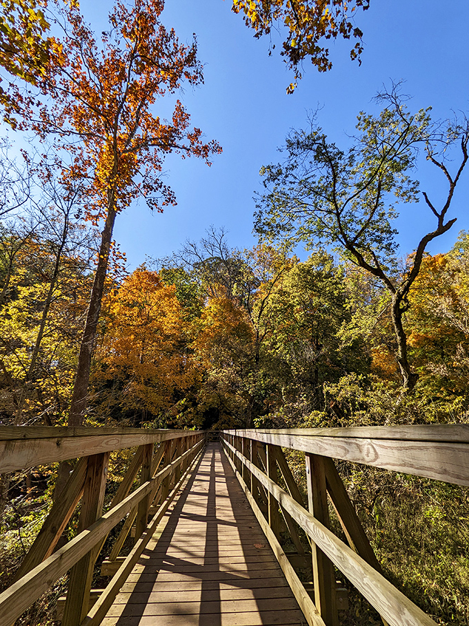 This wooden footbridge invites autumn adventurers to cross into a world where fall foliage competes for the title of "Most Instagram-Worthy Natural Backdrop."