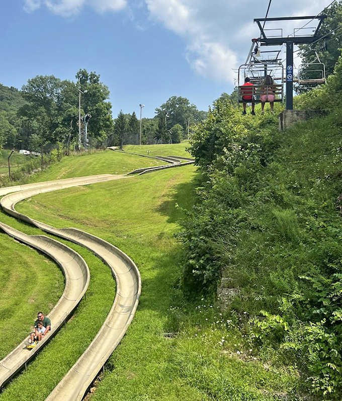 Riders glide down the mountainside while the chairlift carries fresh adventurers upward in this continuous cycle of joy.