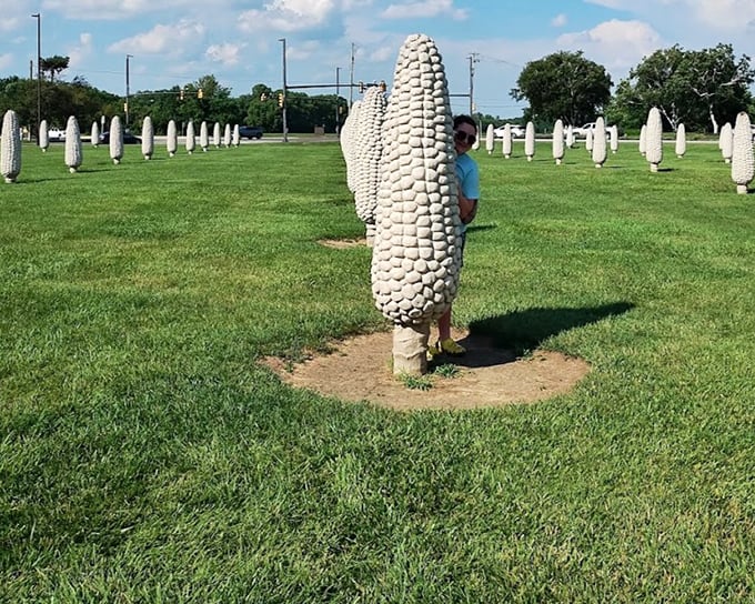 Human-sized corn cobs create fascinating shadows and perspectives, turning this unusual art installation into a playground for photographers.