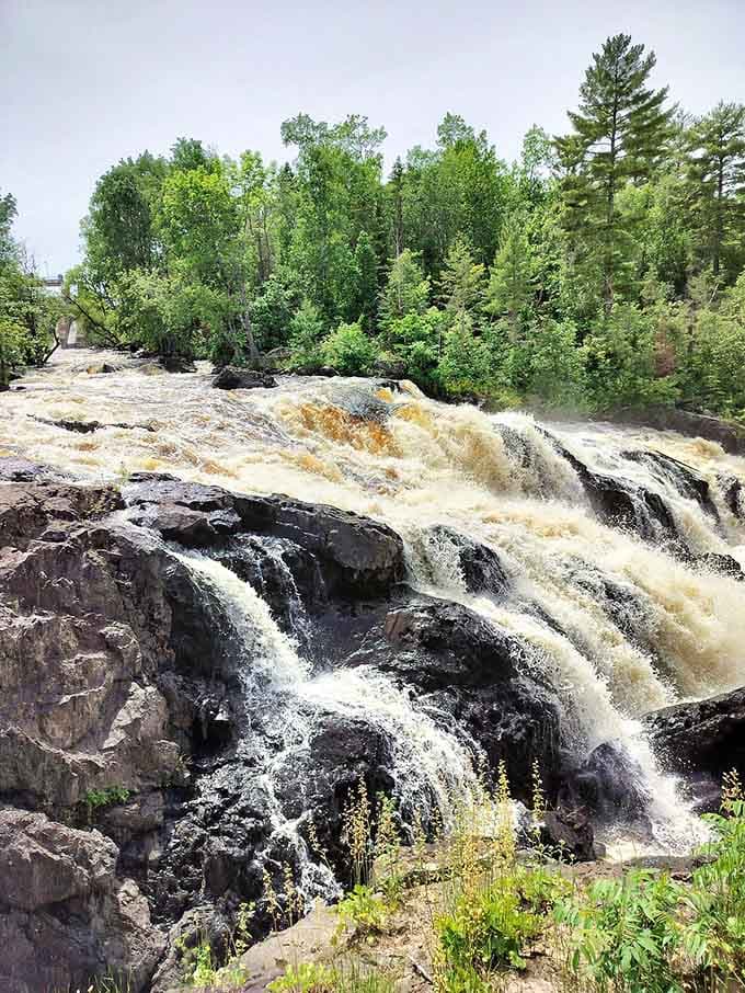 The forest surrounding Kawishiwi Falls creates a peaceful green canopy that makes you feel like you've entered a secret wilderness hideaway.
