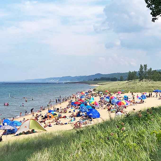Beachgoers dot the shoreline like colorful confetti, each umbrella marking a family's temporary kingdom of sand, sun, and pure Michigan summer joy.