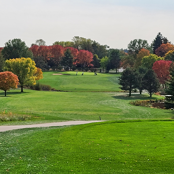 Autumn transforms the Belmont Golf Club into a canvas of reds and golds, where golfers navigate fairways framed by nature's spectacular show.
