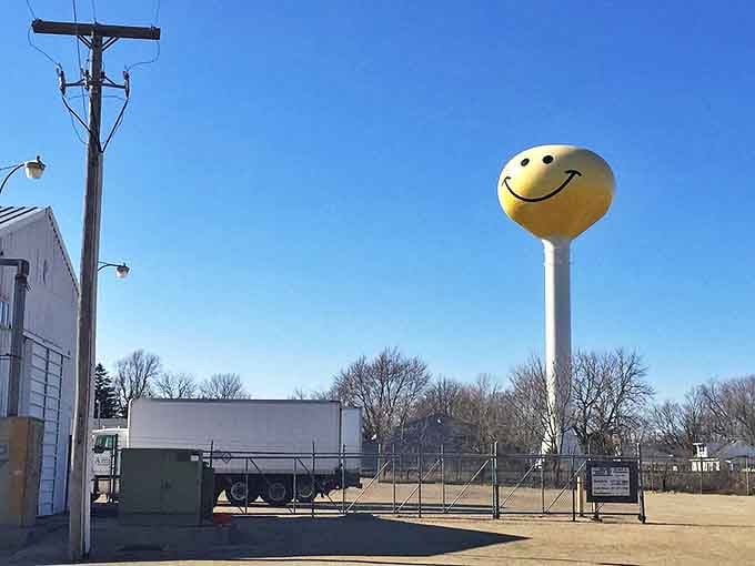 This perpetually cheerful face brings a pop of sunshine to the Wisconsin skyline in every season.