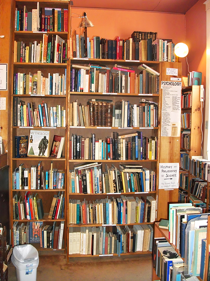 Psychology meets mythology on these wooden shelves, where centuries of human wisdom stand shoulder to shoulder, patiently waiting for curious minds.