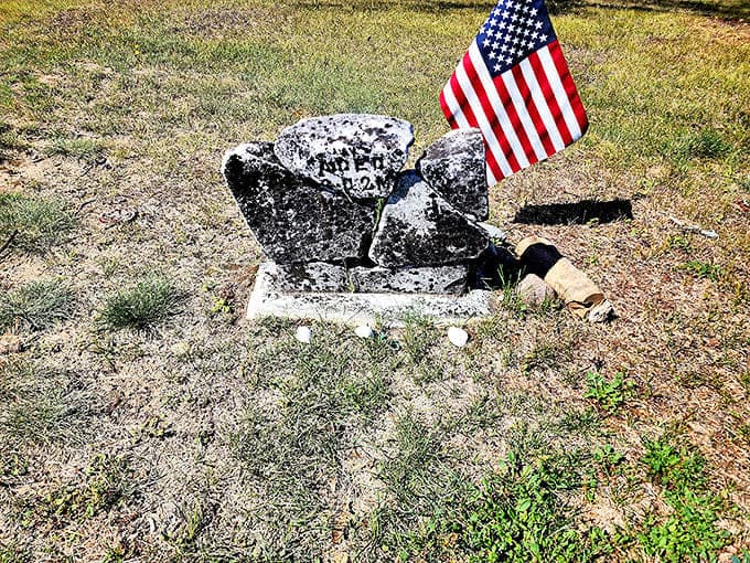 Puzzle pieces of the past &ndash; broken headstone fragments tell incomplete stories of lives cut short in this vanished lumber town.