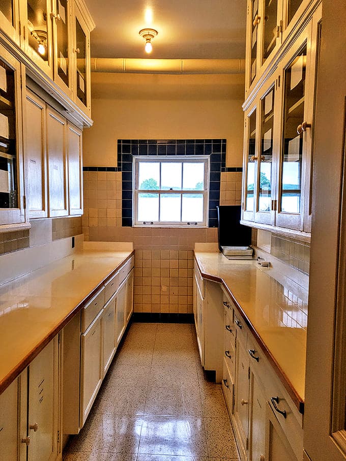 Butler's Pantry: The unsung hero of vintage entertaining, this pristine workspace bridged kitchen chaos and dining room elegance with military precision.