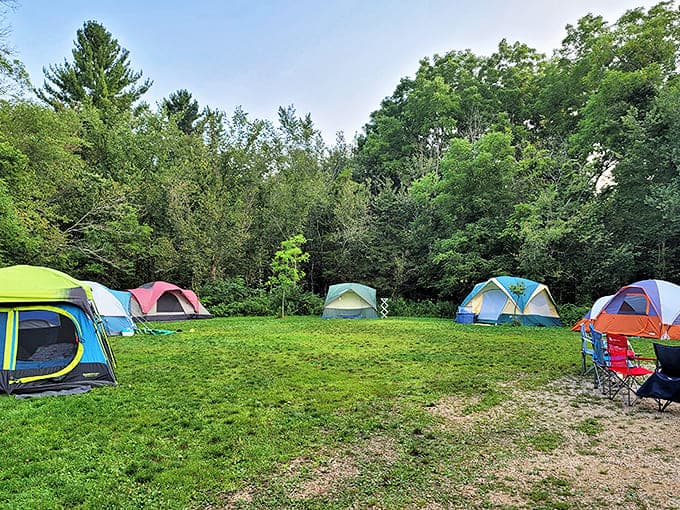 Colorful tents dot the landscape like confetti, each one housing campers who've traded Netflix for nature's nightly show.
