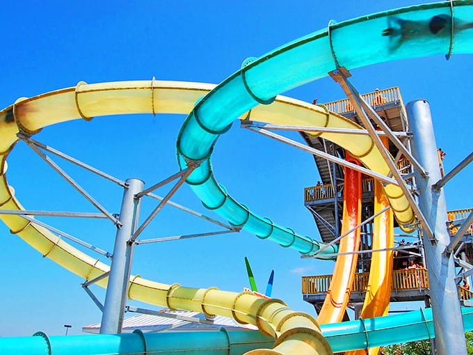 Caribbean Chaos: This swirling vortex of fun transforms riders into human pinballs before unceremoniously depositing them into the splash pool below.