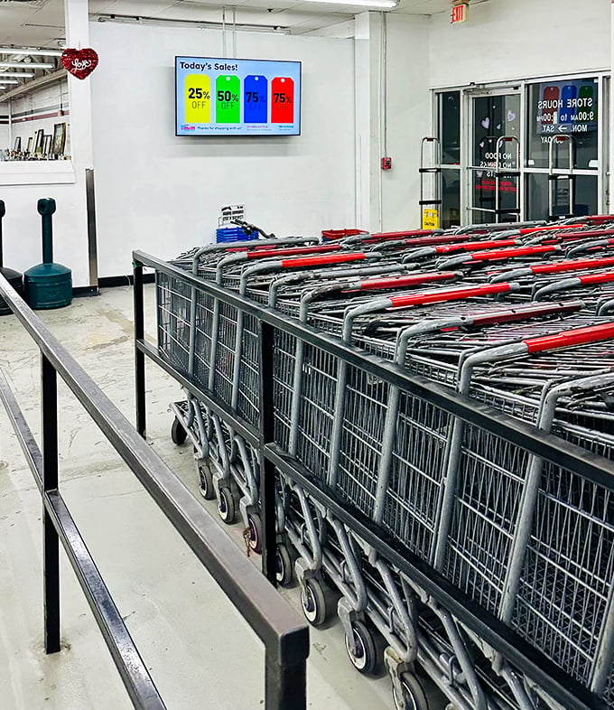 Shopping carts lined up like eager racehorses at the starting gate, each destined to carry someone's thrifting victories.