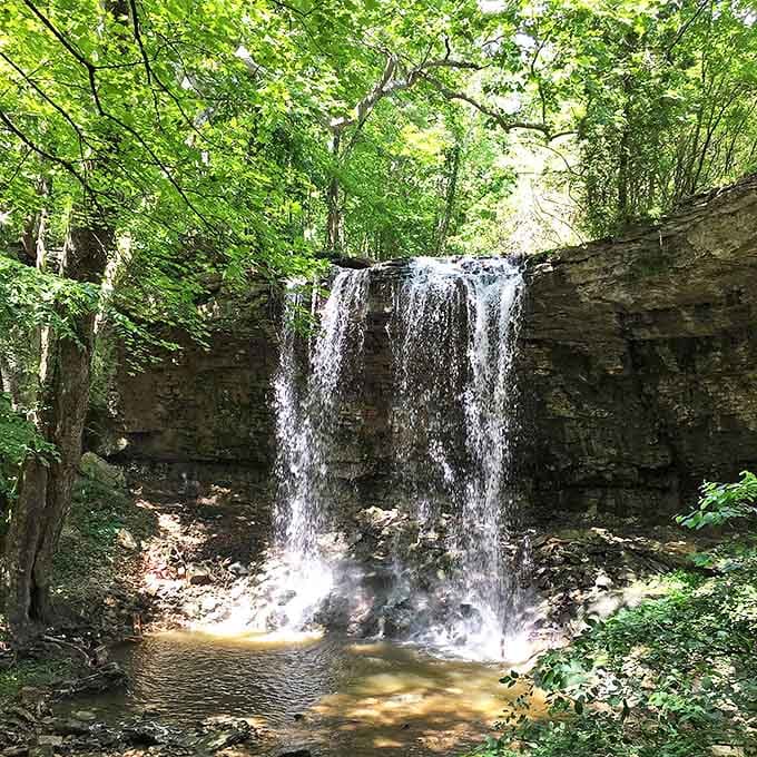 Charleston Falls Preserve offers a moment of wilderness serenity, where water music drowns out life's constant noise.