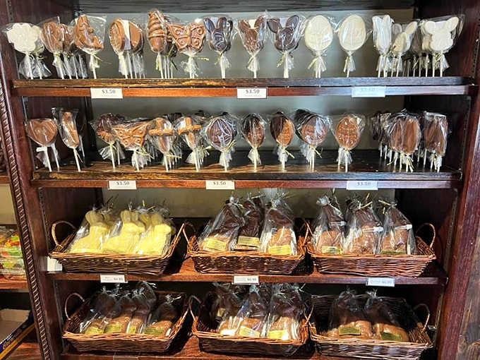 Whimsical chocolate lollipops stand at attention, waiting to be chosen for their noble purpose of bringing joy and sticky fingers.
