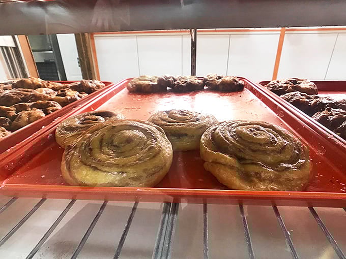 Fresh cinnamon rolls awaiting their destiny – to be devoured within minutes by customers who've been dreaming about them since yesterday.