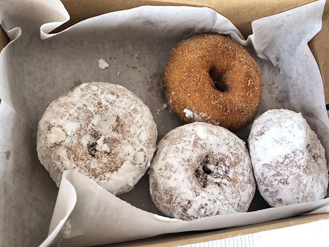 Powdered sugar donuts sit beside their cinnamon-dusted brethren, creating a sweet dilemma that most solve by simply ordering both.