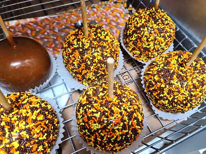 These chocolate-covered caramel apples with festive sprinkles prove that County Donuts isn't afraid to venture beyond their comfort zone with spectacular results.