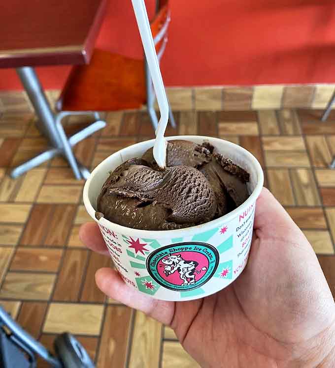 Rich chocolate ice cream so dark and decadent it makes regular chocolate look like it's not even trying &ndash; spoon required, no shortcuts allowed.